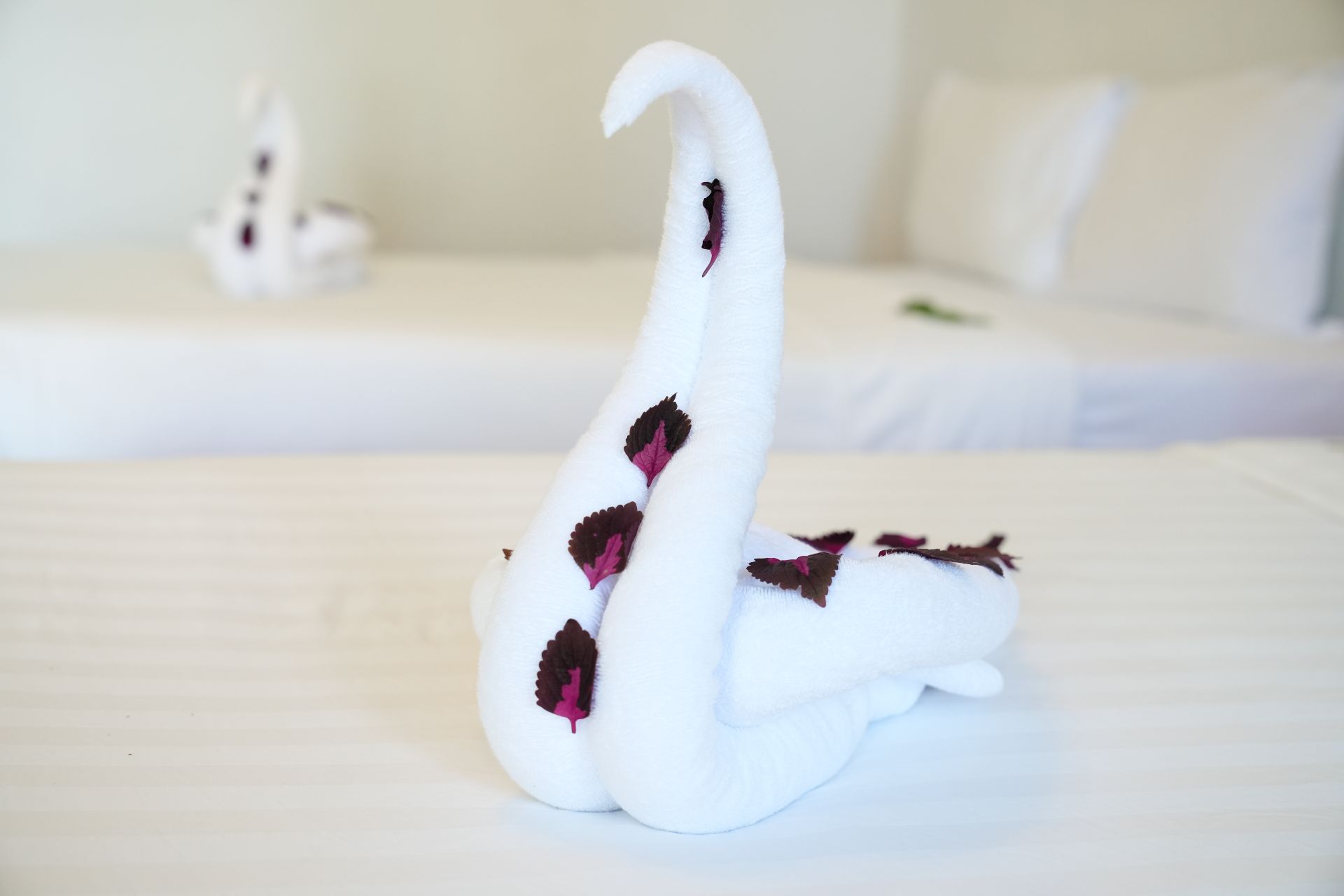 Deluxe Family Garden View — Tube Resort by EHM